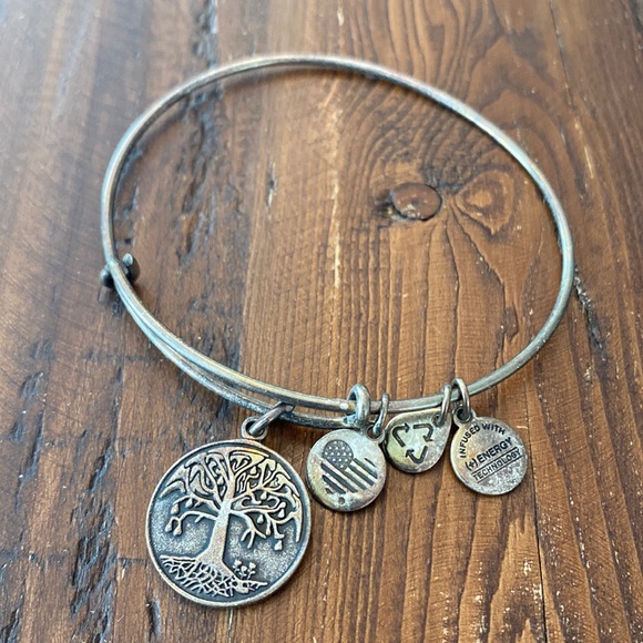Alex and Ani | Jewelry | Alex Ani Tree Of Life Bracelet 25 See Pics ...